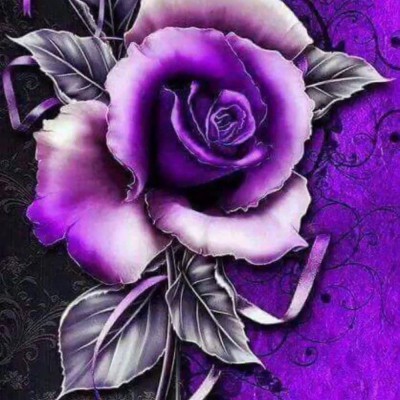 Rose Hd Wallpaper With Diamond - 800x600 Wallpaper - teahub.io