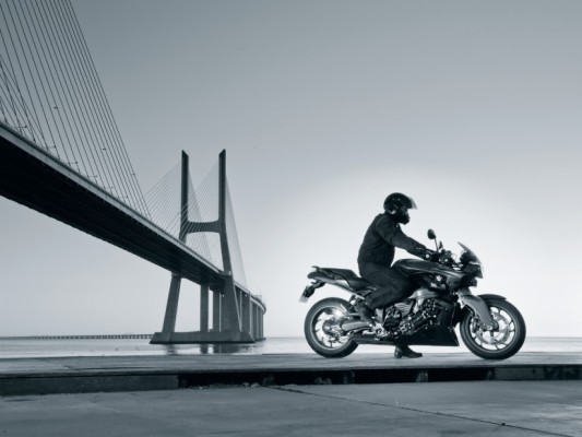 Cable-stayed Bridge - 1366x768 Wallpaper - teahub.io