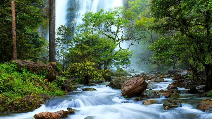 Beautiful Waterfalls Forest Hd - 1920x1080 Wallpaper - teahub.io