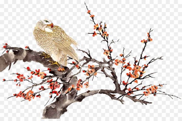 Chinese Bird Png Art - 900x600 Wallpaper - teahub.io