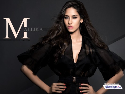 Mallika Haydon - 1280x960 Wallpaper - teahub.io