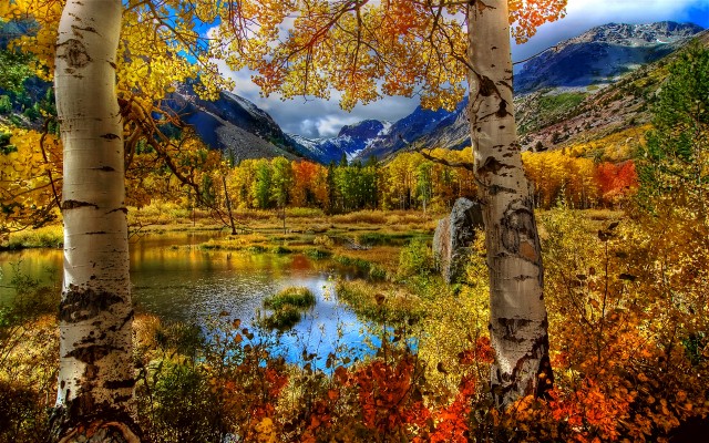 Autumn Nature - 3000x2000 Wallpaper - teahub.io
