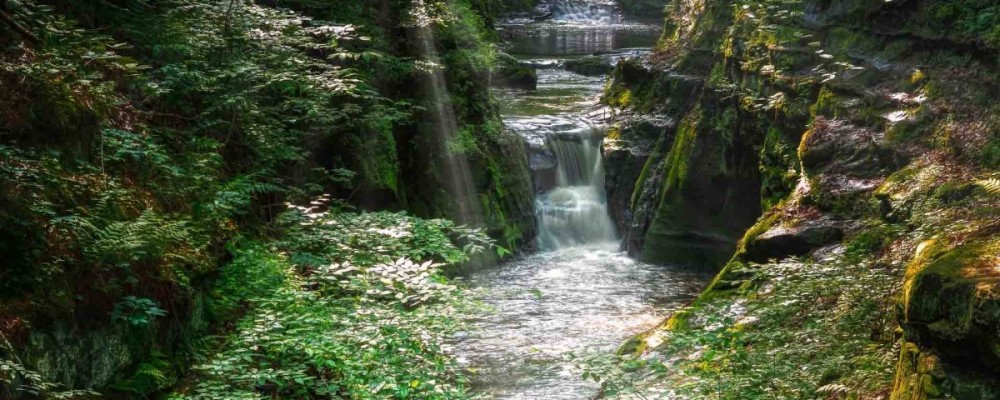 Beautiful River Stream - Wallpaper - 1200x480 Wallpaper - teahub.io