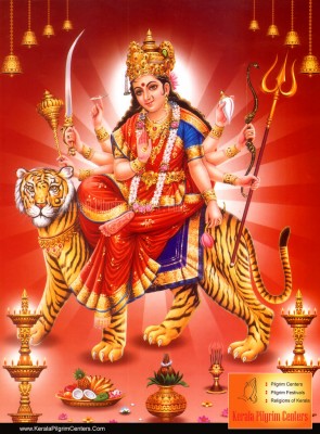 Yavatmal Durga Devi Photo 2017 - 1536x2048 Wallpaper - teahub.io