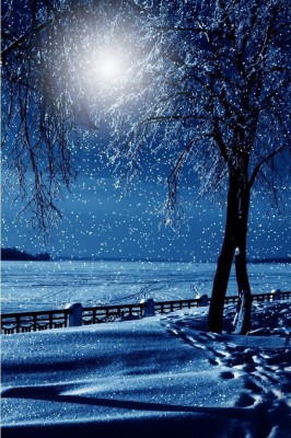 Winter Night Wallpaper Mobile For Free Wallpaper - Blue Winter Night ...
