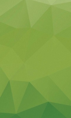 Green Polygon Hd Wallpapers (1080p, 4k) (36796) - Triangle - 1080x1786 ...