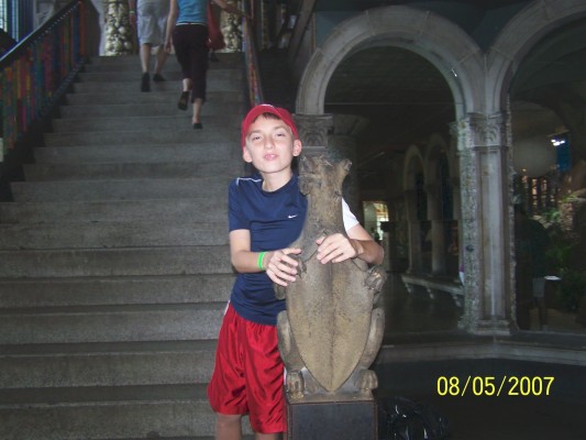 Funny - Carp - 2560x1920 Wallpaper - teahub.io