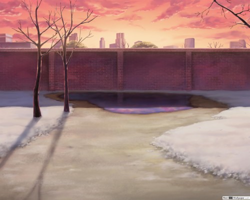 Comfy Wallpapers - 1920x1080 Wallpaper - teahub.io