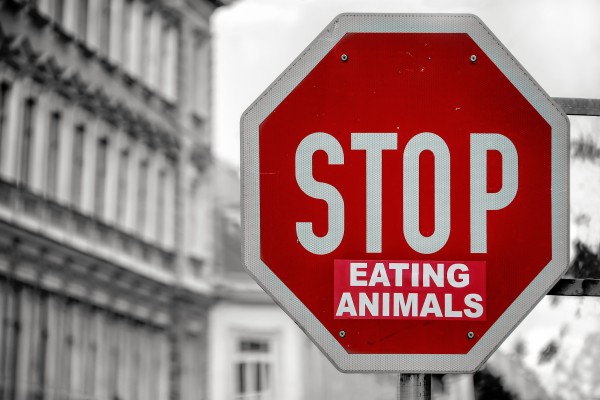 Stop Eating Animals Sign - 3888x2592 Wallpaper - teahub.io