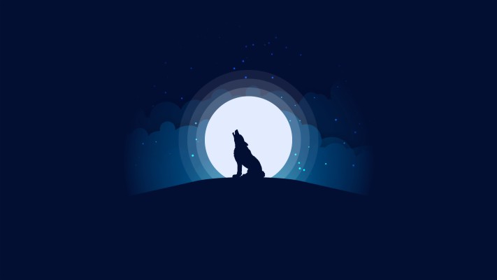 Wolf Flat Design - 2560x1440 Wallpaper - teahub.io