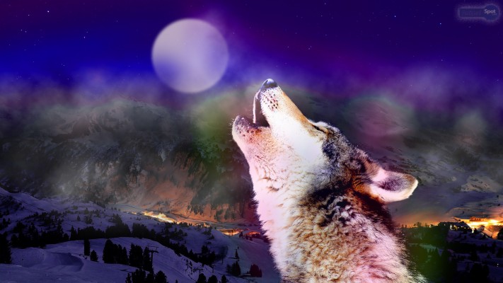 Wallpaper Moonlight, Wolf, Fantasy - Wolf Howling At The Moon Blue ...