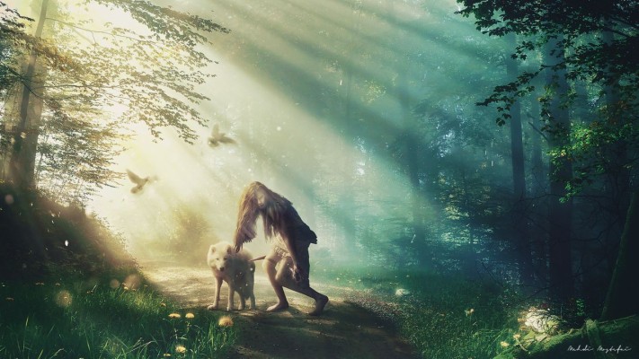 Wolf Wallpaper Hunting - 1280x720 Wallpaper - teahub.io