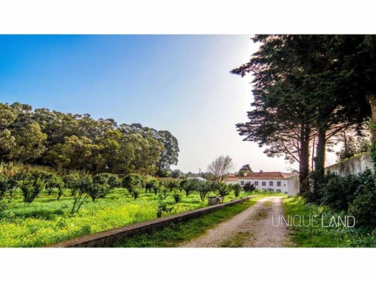 Ganteng Aliando - 600x800 Wallpaper - teahub.io