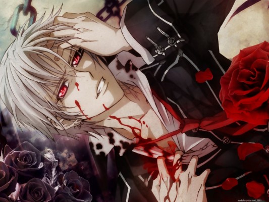 Vampire☤knight - Vampire Knight Zero Blood - 1024x768 Wallpaper - teahub.io