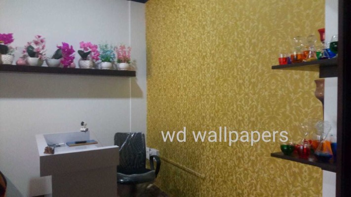 Wd Wallpaper - 1200x1200 Wallpaper - teahub.io