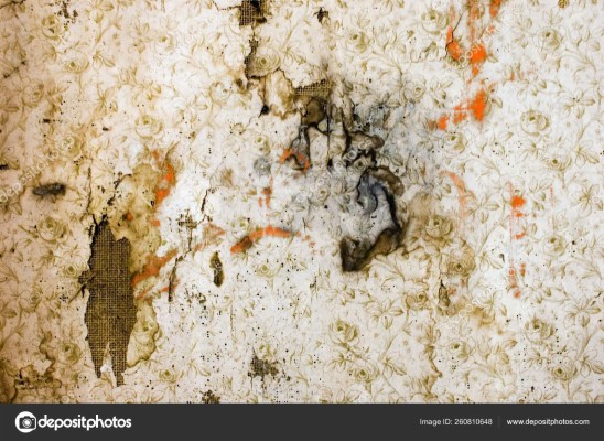 Pest - 1920x1080 Wallpaper - teahub.io