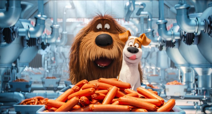 Gidget Secret Life Of Pets Cartoon - 750x1334 Wallpaper - teahub.io