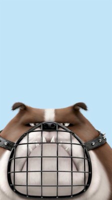 Secret Life Of Pets Door - 2560x1440 Wallpaper - teahub.io