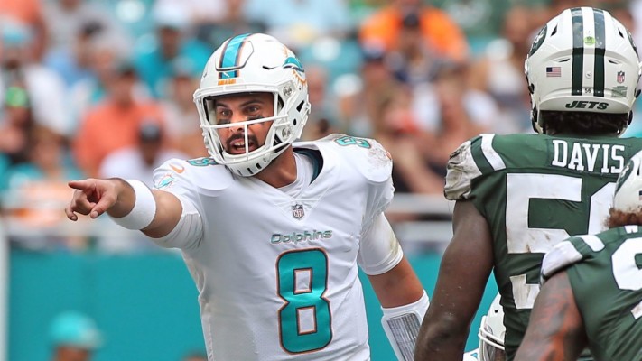 Matt Moore Dolphins - 2048x1152 Wallpaper - teahub.io