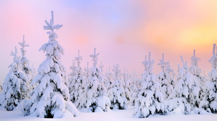 Winter Hygge Desktop Background - 2560x1600 Wallpaper - teahub.io