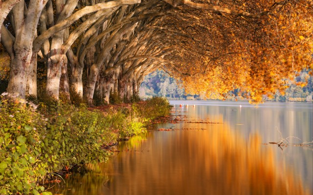 Autumn Lake - 3840x2400 Wallpaper - teahub.io