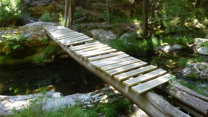 Log Bridge - 1600x900 Wallpaper - teahub.io