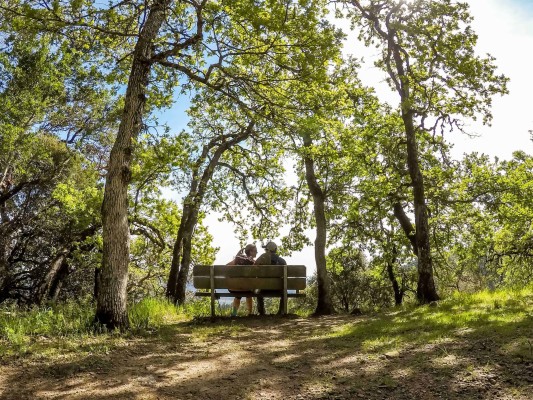 Chat Themes For Hike - 640x1136 Wallpaper - teahub.io