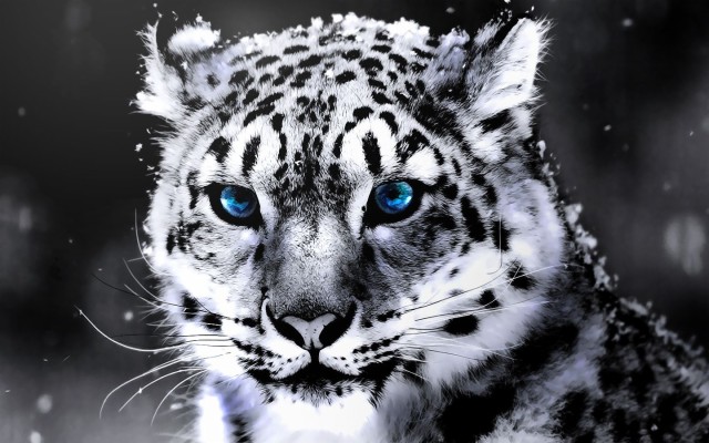Tiger Live Wallpaper Android Apps On Google Play - Baby White Tigers In ...