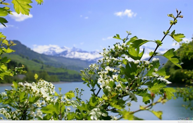 Springtime Nature Spring Backgrounds - 1600x1200 Wallpaper - teahub.io