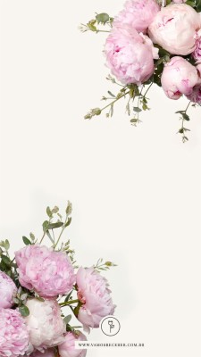 Blush Pink Flower Background - 640x1136 Wallpaper - teahub.io