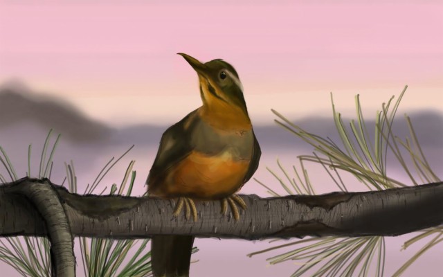 Twin Peaks Intro Remastered - Twin Peaks Bird - 1920x1080 Wallpaper ...