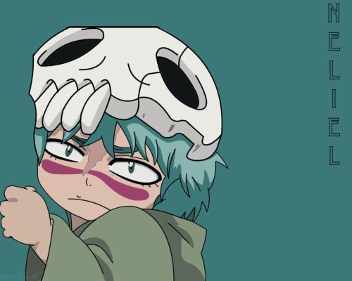 Nel Bleach Wallpaper Hd - 1920x1080 Wallpaper - teahub.io