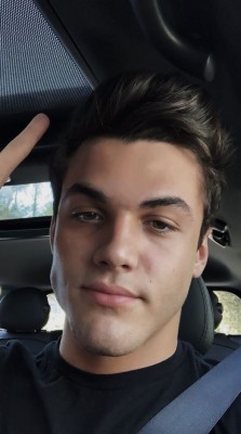 Gray Dolan Cute - 592x1060 Wallpaper - teahub.io