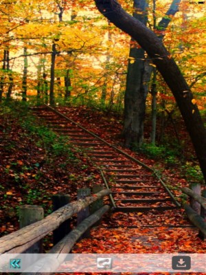 Autumn Live Wallpaper Free For Android Download - Autumn Falling Leaves ...
