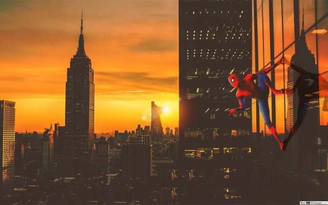 Wallpaper Roof, Man, City, Sunset, Buildings, Overview - Rooftop Sunset ...