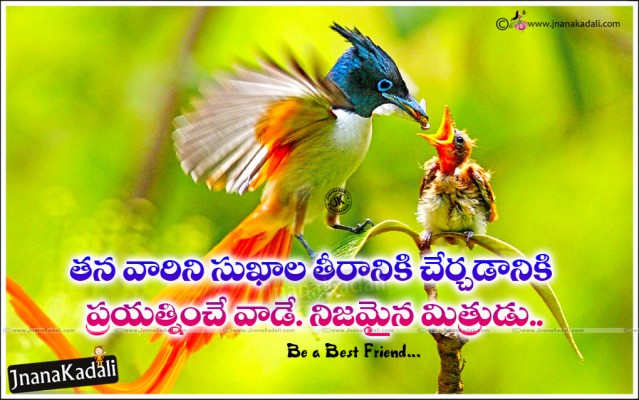 Beautiful Creatures Of God - 1020x638 Wallpaper - teahub.io