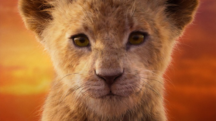Photo Wallpaper Look, Face, Lioness, The Lion King, - Nala Lion King ...