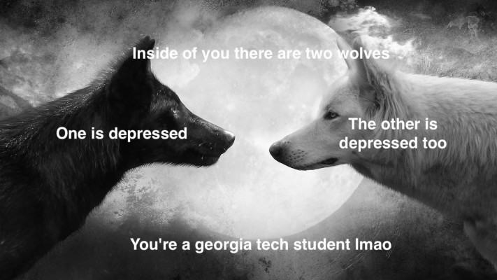 Inside Each Of Us There Are Two Wolves - 1600x900 Wallpaper - teahub.io