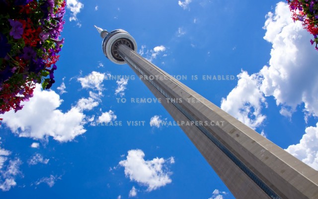Toronto Raptors Cn Tower - 1440x2560 Wallpaper - teahub.io