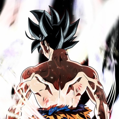 Goku Symbol On Back - 2560x1440 Wallpaper - teahub.io