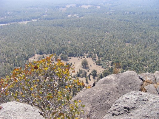 Pahar Wallpaper - 1024x768 Wallpaper - teahub.io