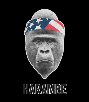 Harambe Face Png - 1000x1142 Wallpaper - teahub.io