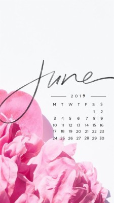 June 2019 Phone Background - 564x1001 Wallpaper - teahub.io