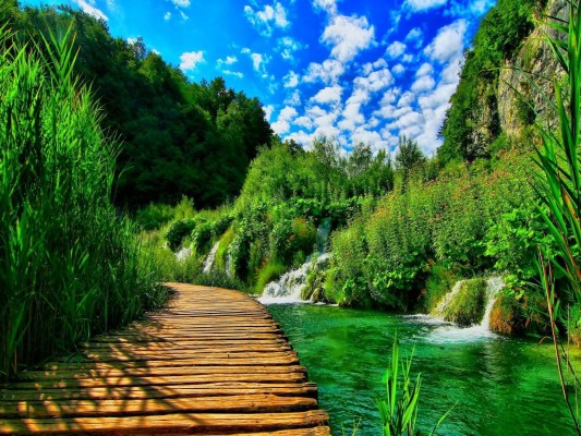 Amazon Wallpaper Hd - Nature Wallpaper Background Design - 1600x1200 ...