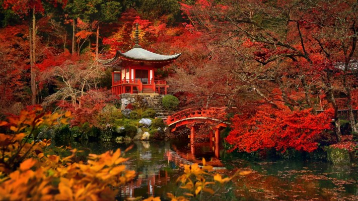 Japan Autumn Background - 1920x1080 Wallpaper - teahub.io
