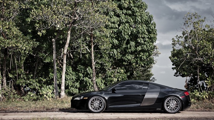 Step Lips Wheels Audi R8 - 2560x1440 Wallpaper - teahub.io