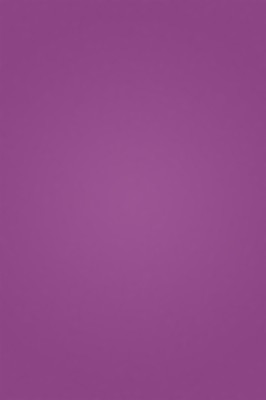 Plum Wallpaper - Lilac - 640x960 Wallpaper - teahub.io