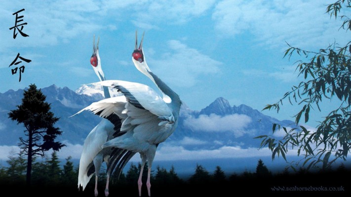 Taoism Backgrounds - 1920x1080 Wallpaper - teahub.io