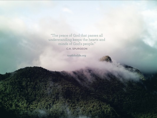 Understanding Secularism - 1280x1024 Wallpaper - teahub.io