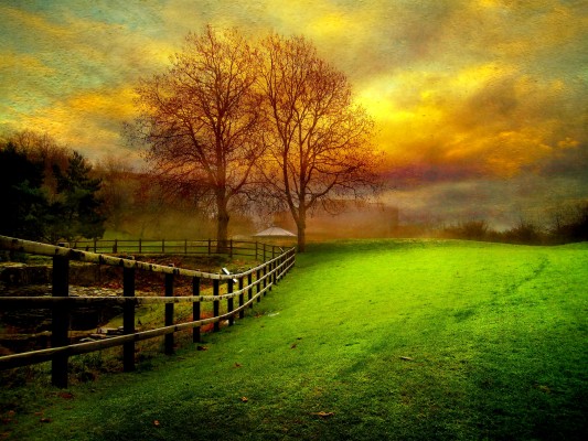 Free Nature Wallpaper - Windows Lock Screen 1080p - 1920x1200 Wallpaper ...